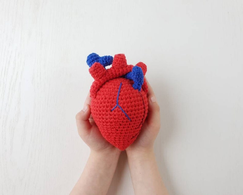 Anatomical Human Heart Crochet Crochet Valentine's Day - Etsy