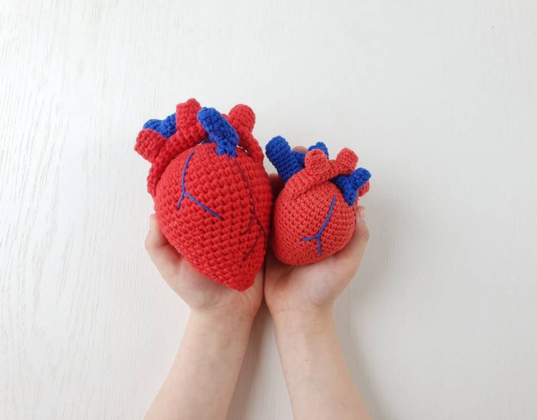Anatomical Human Heart Crochet, Crochet Valentine's Day Anatomical ...