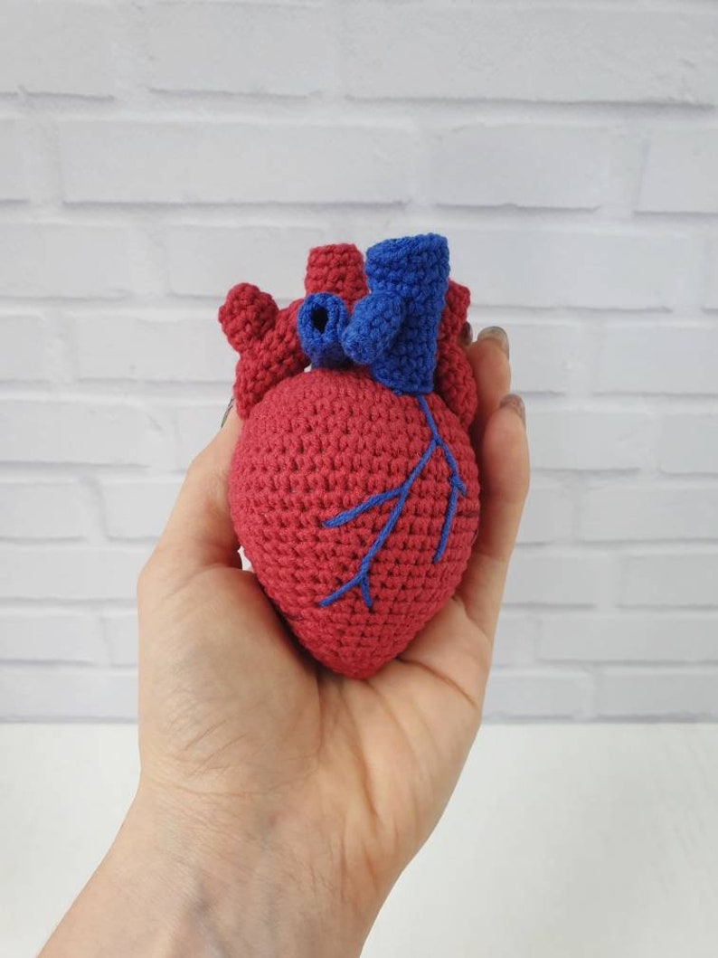 Anatomical Human Heart Crochet Crochet Valentine's Day - Etsy