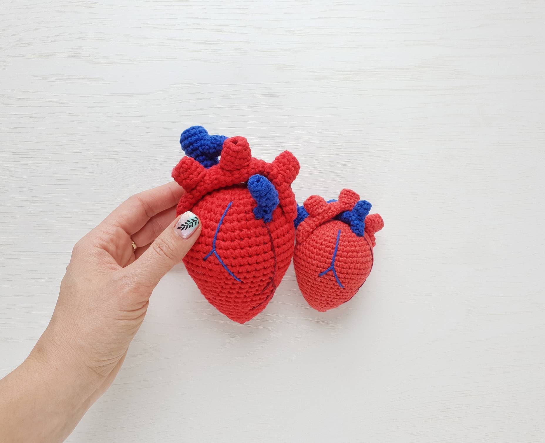 Anatomical Human Heart Crochet Crochet Valentine's Day | Etsy
