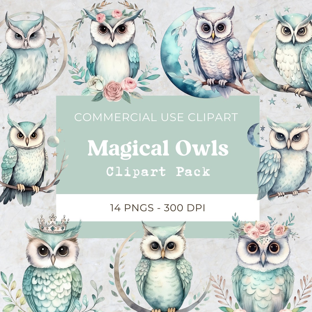 Magical Owl Clipart Png | Watercolor Bird | Celestial Owl Png | Boho ...
