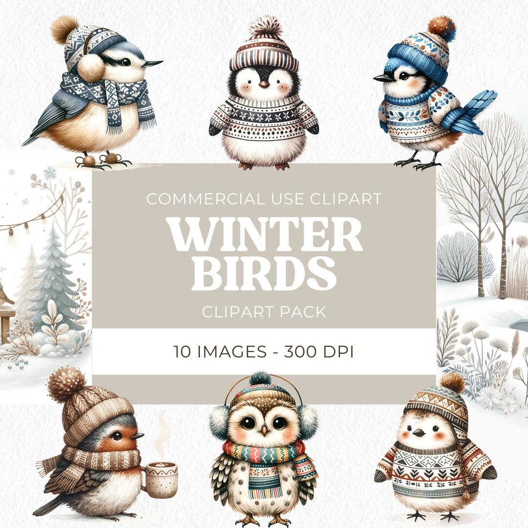 Winter Birds Watercolor Clipart, Birds With Hat and Jumpers, Cute Bird ...