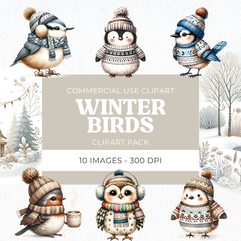 Winter Birds Watercolor Clipart, Birds With Hat and Jumpers, Cute Bird ...