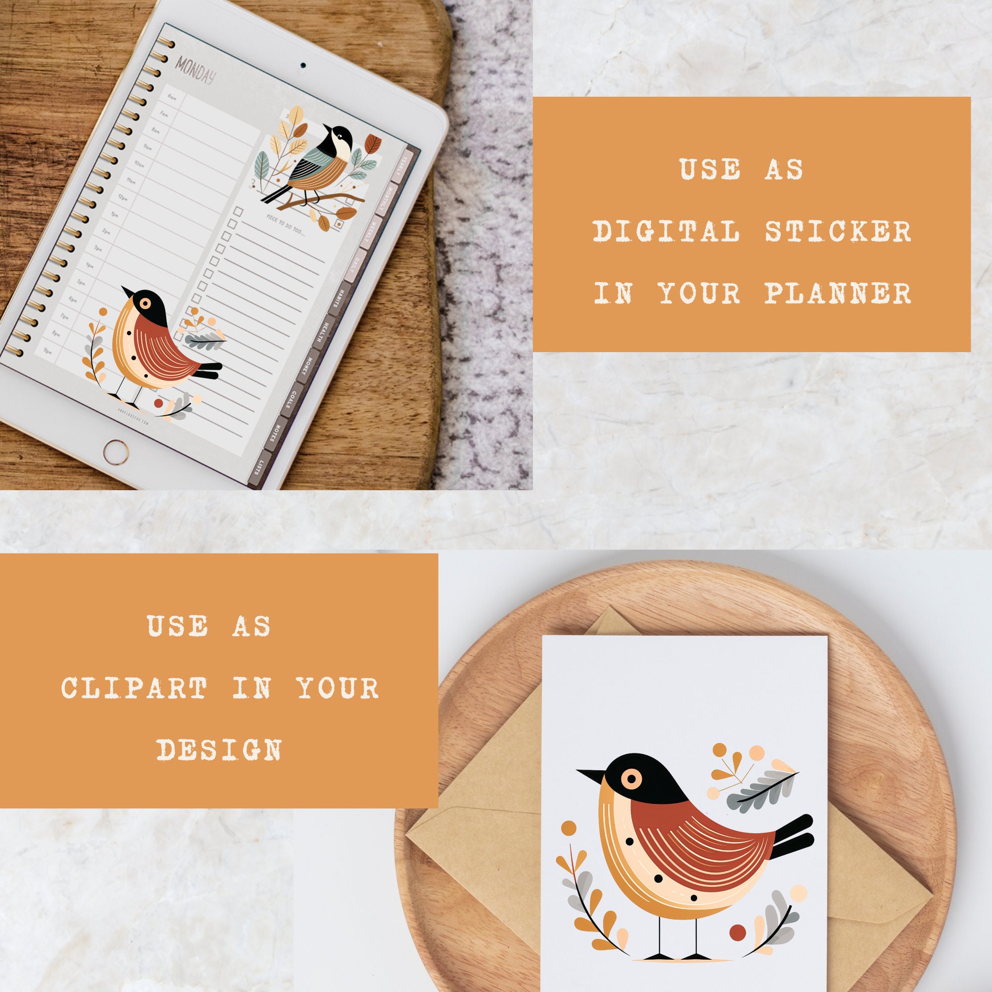Cute Bird Clipart, Boho Bird Png, Autumn Bird Clipart, Retro Birds and ...