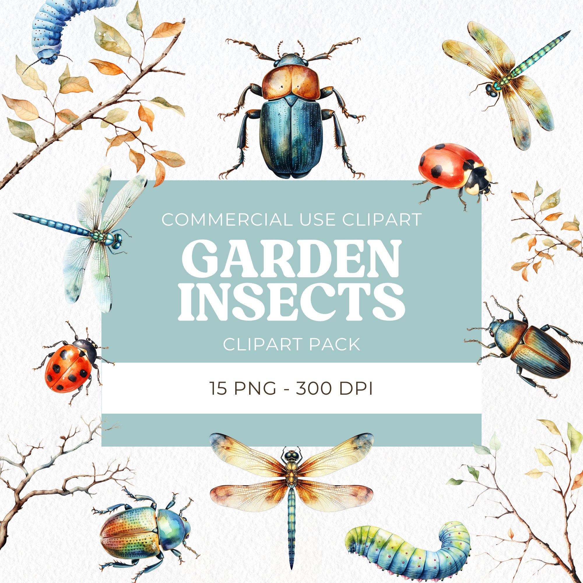 Garden Insect Clipart Watercolor, Beetles Dragonflies Caterpillars ...