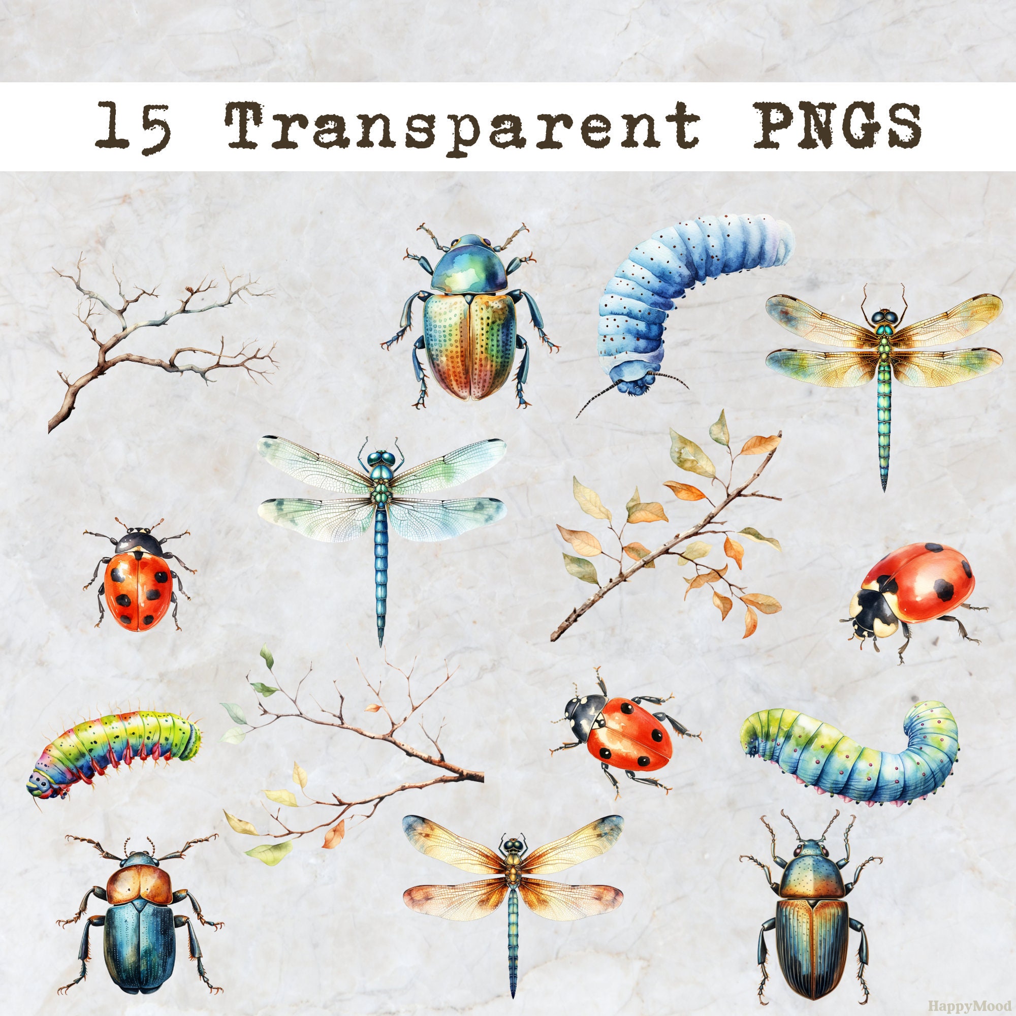 Garden Insect Clipart Watercolor, Beetles Dragonflies Caterpillars ...