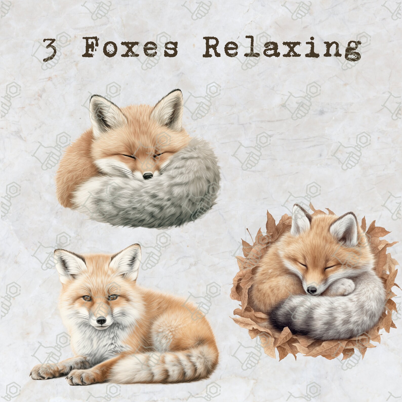 Fox Clipart Watercolor Digital, Woodland Animals Clipart, Baby Fox Png ...