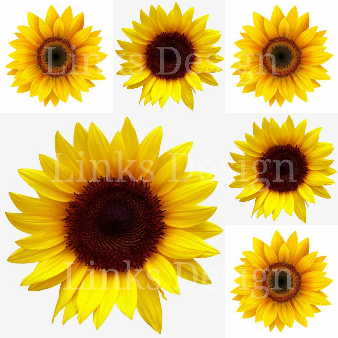 Sunflower Waterslide Decal for Tumblers - Etsy