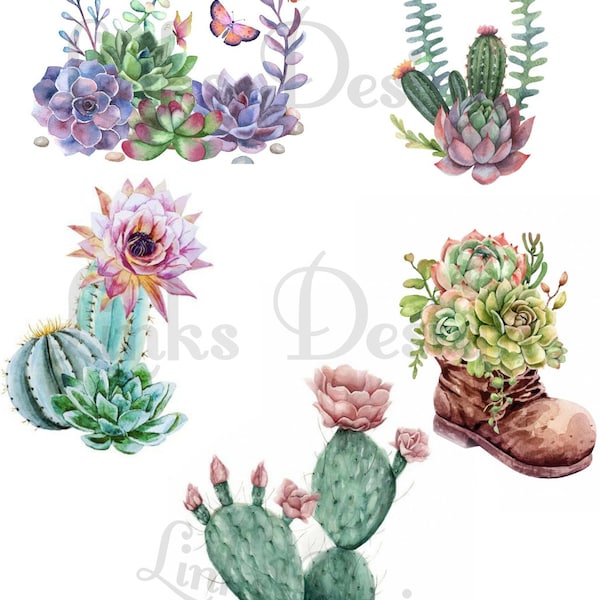 Succulent Decal - Etsy
