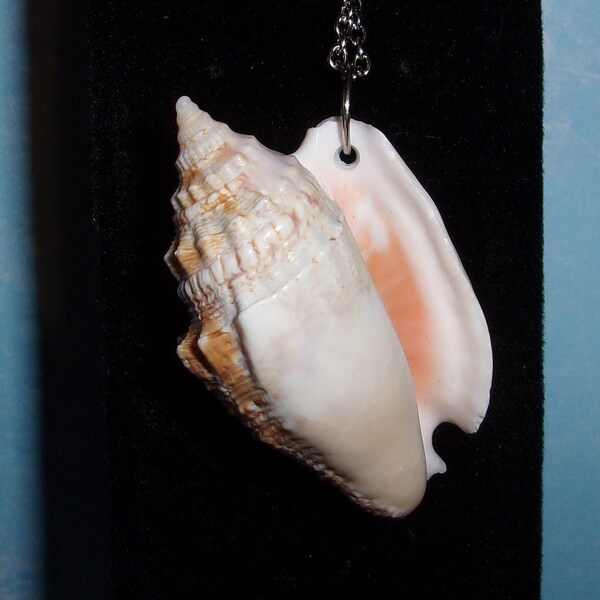 Seashell Pendant - Etsy