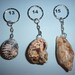 Seashell Key Chain, Key Ring - Etsy