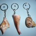 Seashell Key Chain, Key Ring - Etsy