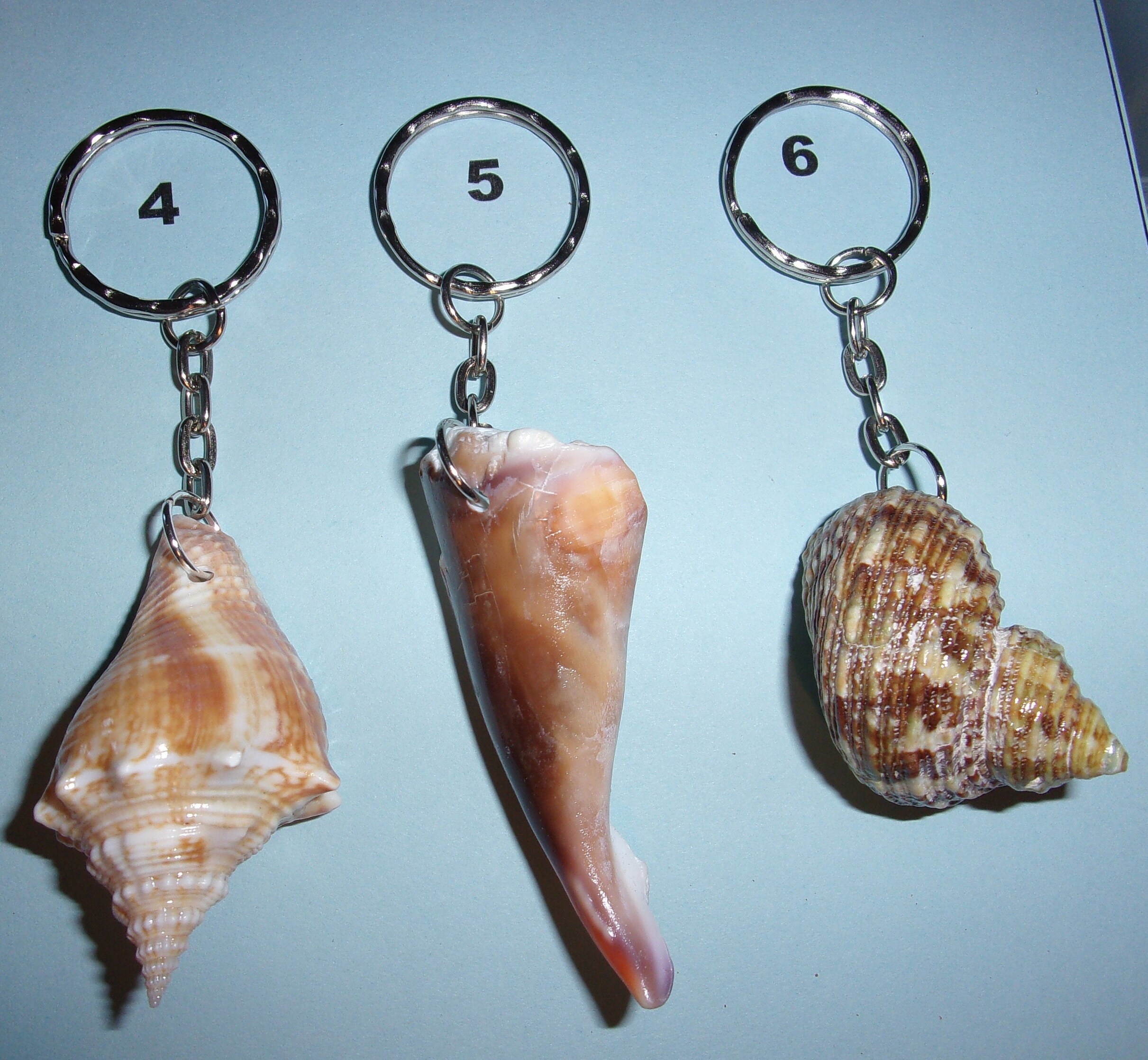Seashell Key Chain, Key Ring - Etsy