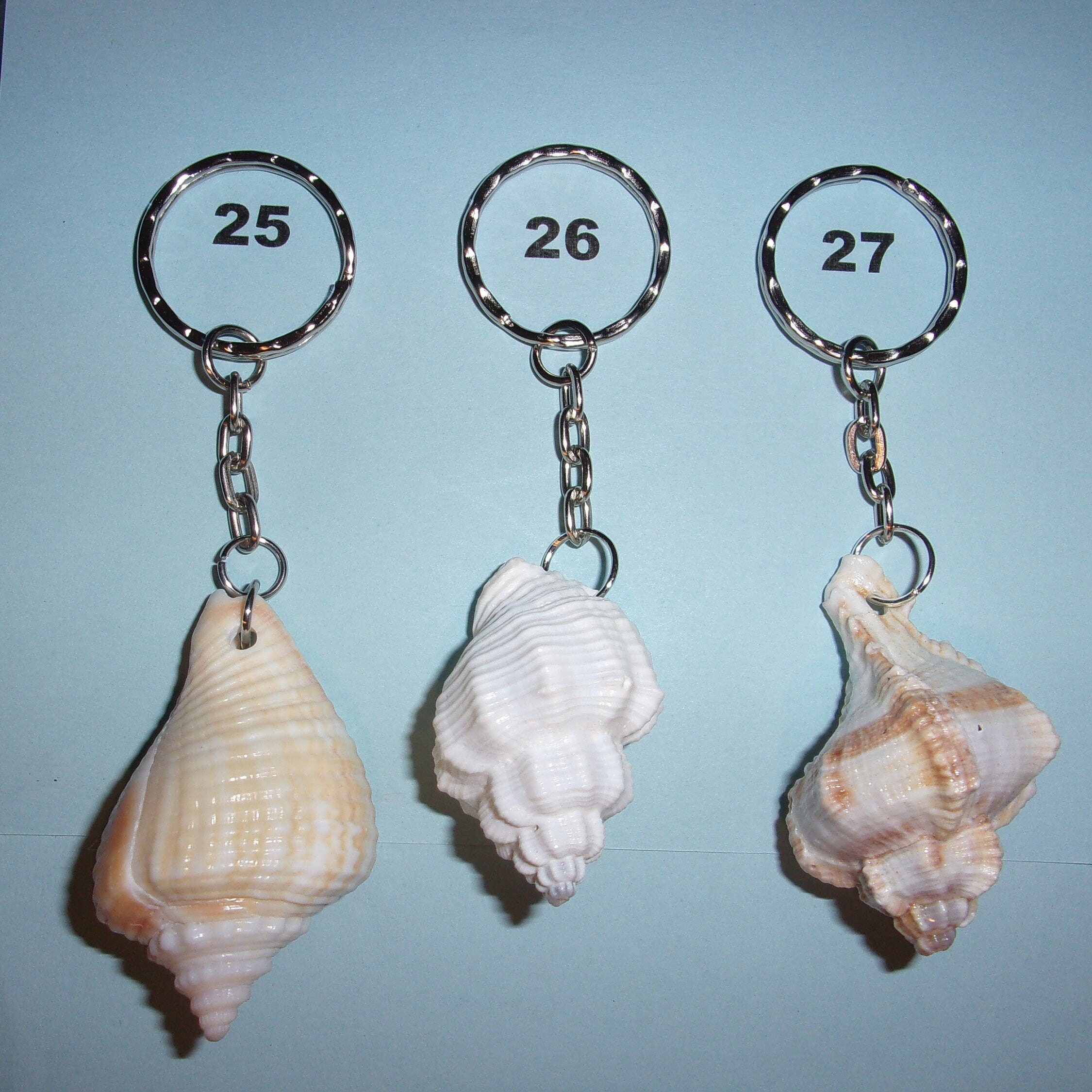 Seashell Key Chain Key Ring - Etsy UK