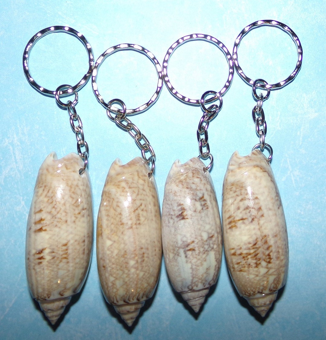 Seashell Keychain, Local and Exotic Seashell Keyring, 2nd Listing - Etsy