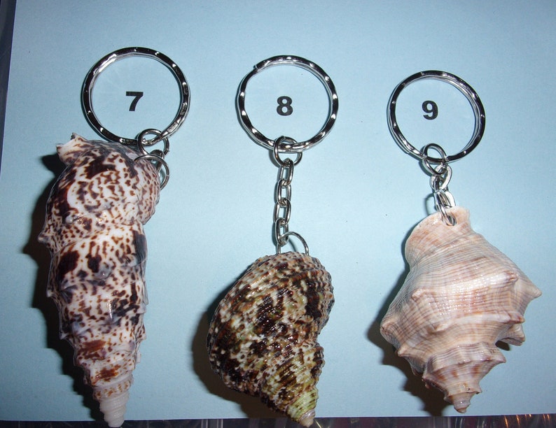 Seashell Key Chain Key Ring - Etsy