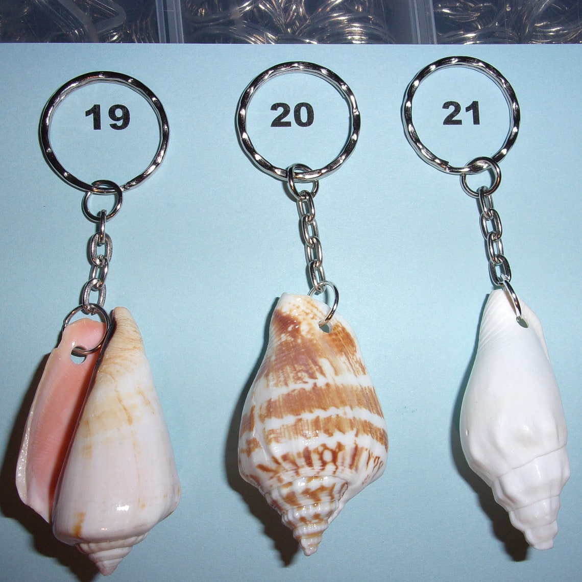 Seashell Key Chain Key Ring | Etsy