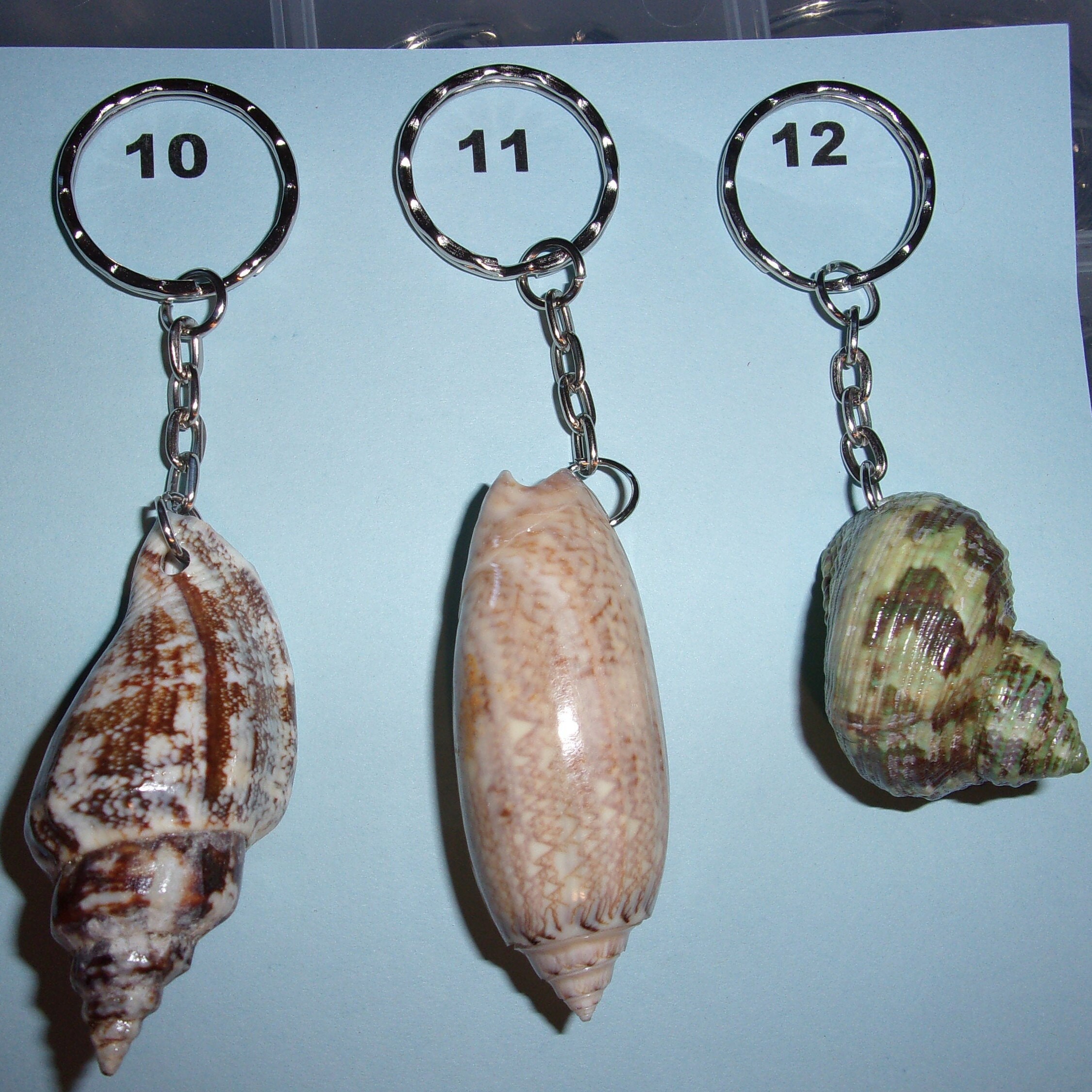 Seashell Key Chain, Key Ring - Etsy