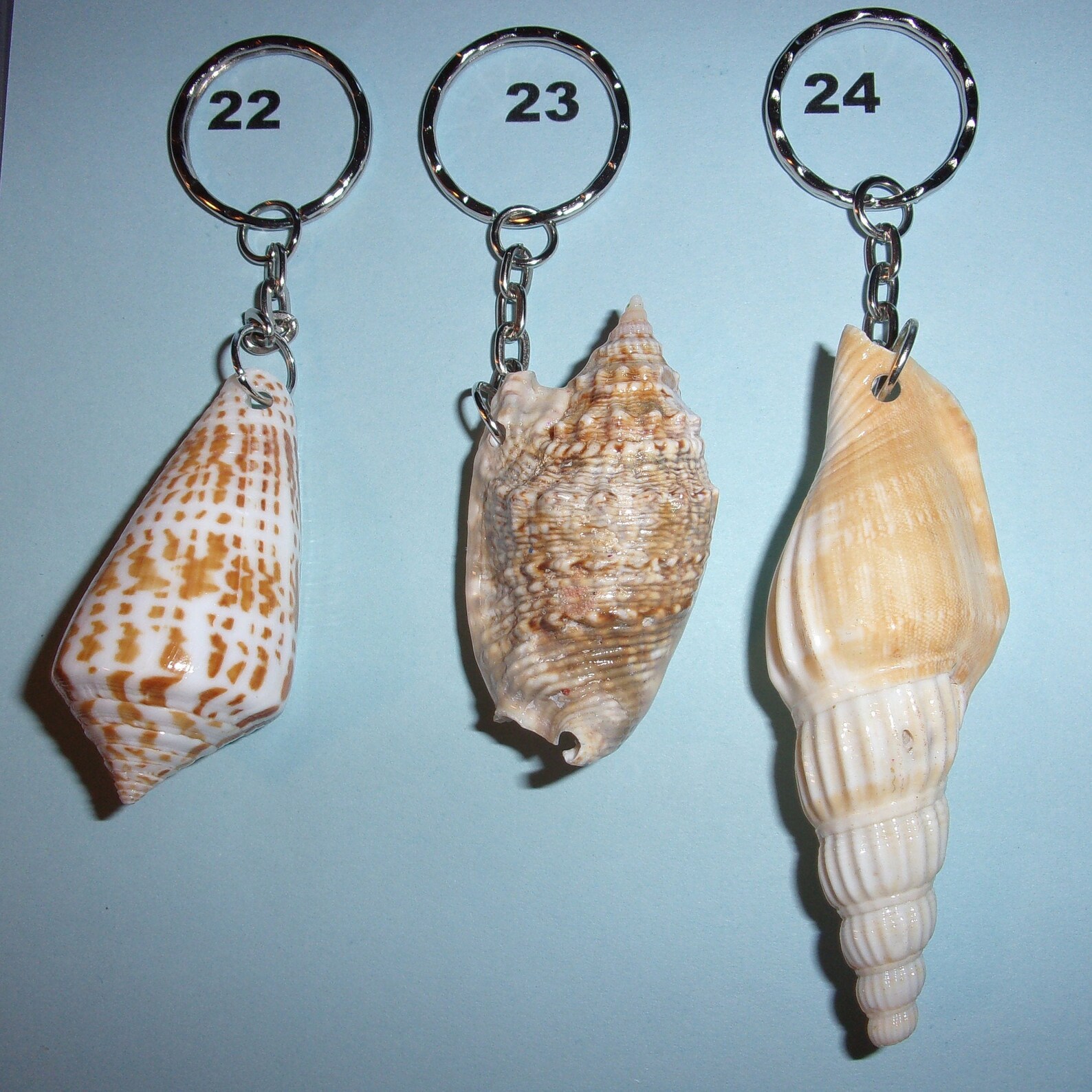 Seashell Key Chain Key Ring - Etsy