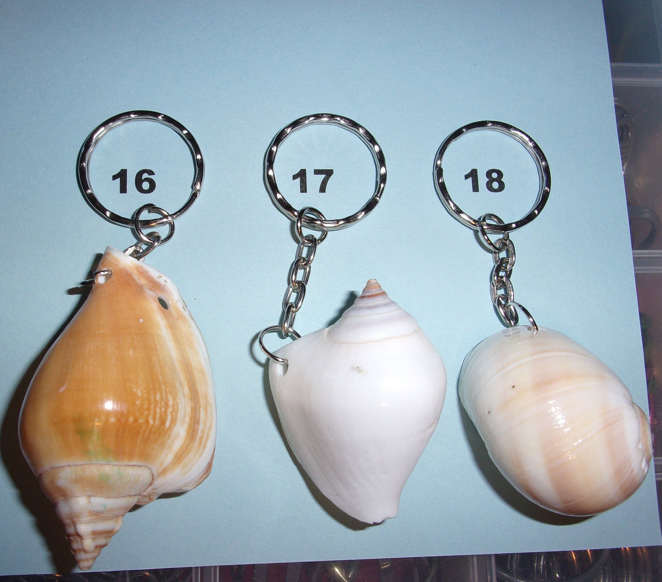 Seashell Key Chain Key Ring - Etsy UK