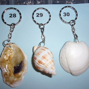 Seashell Key Chain, Key Ring - Etsy