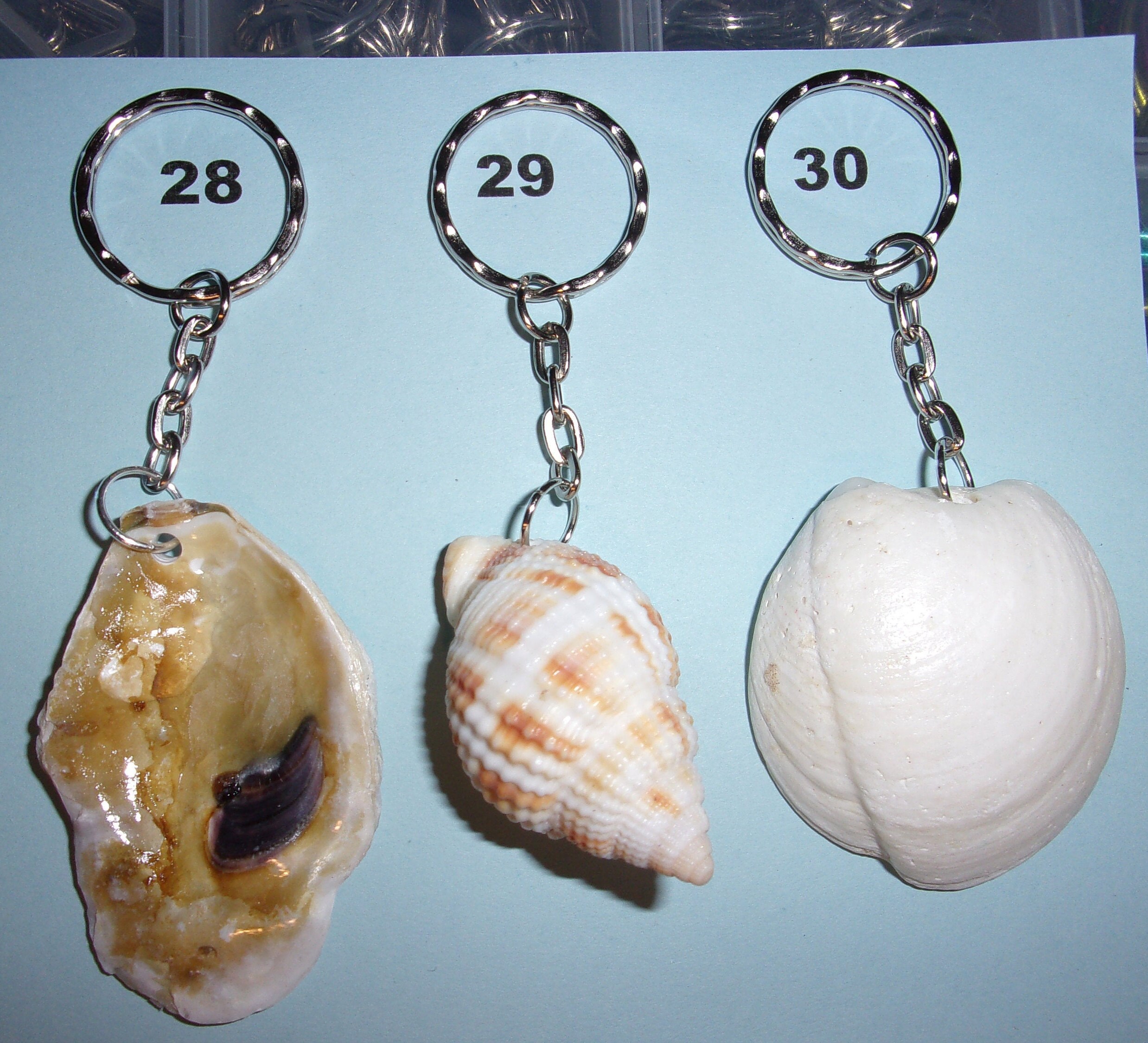 Seashell Key Chain, Key Ring - Etsy