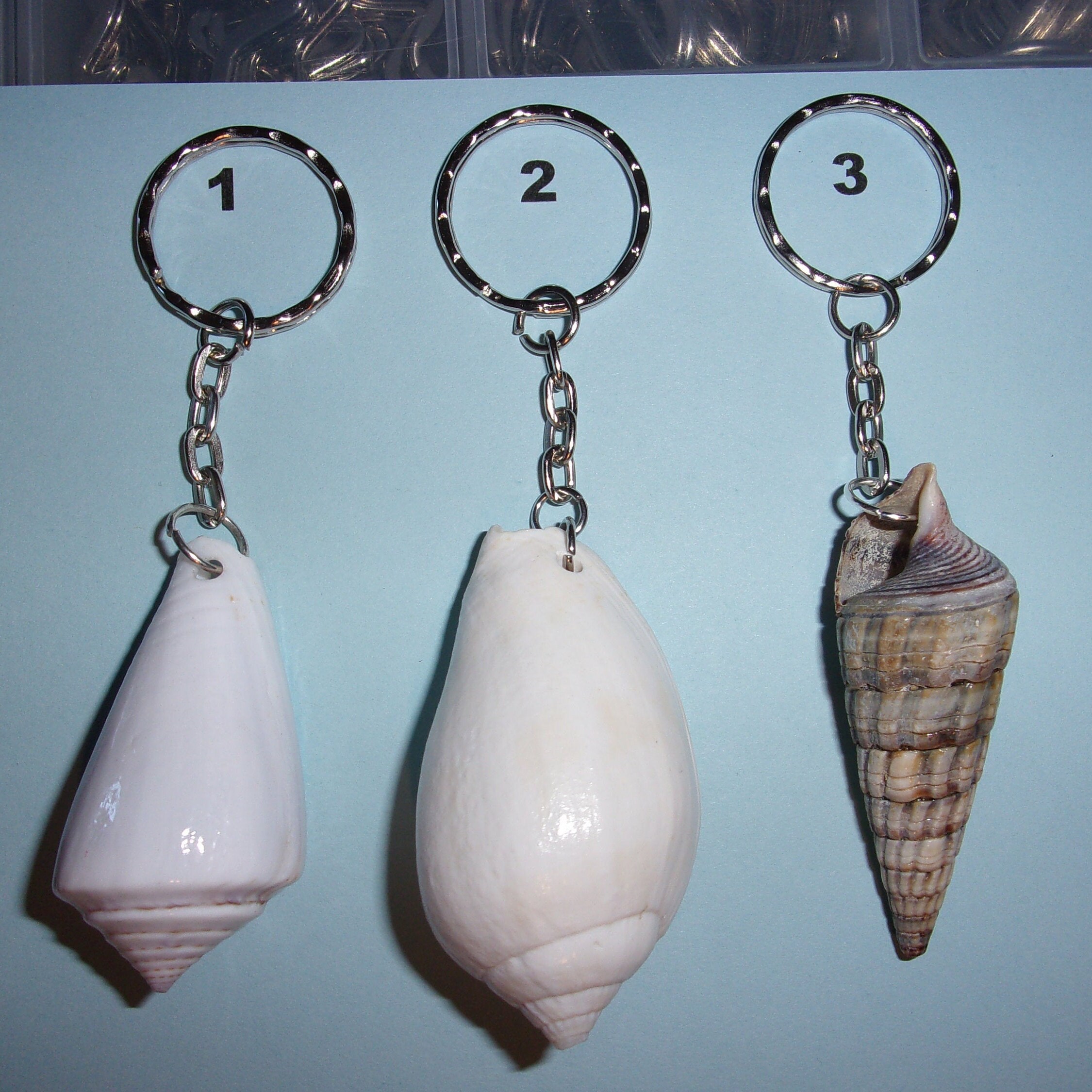 Seashell Key Chain, Key Ring - Etsy