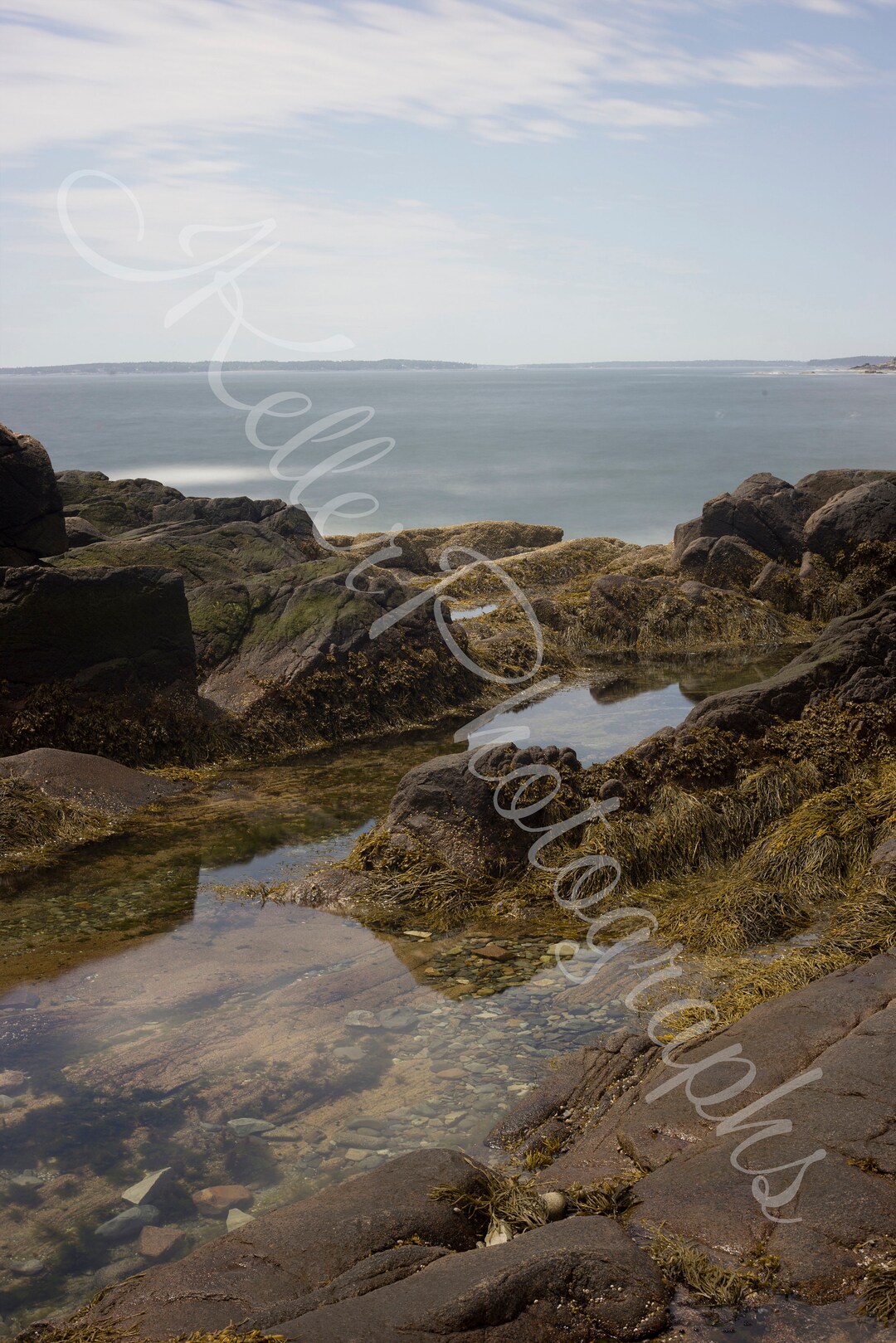 Jetty Instant Digital Download Printable Acadia National Park Maine ...