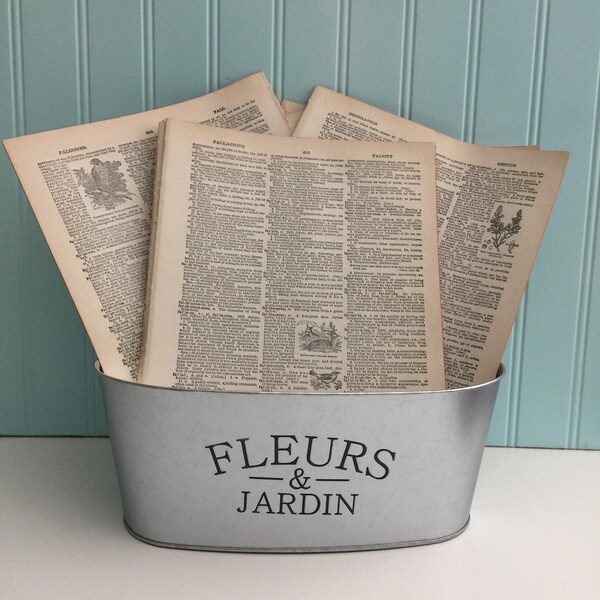 Dictionary Page - Etsy