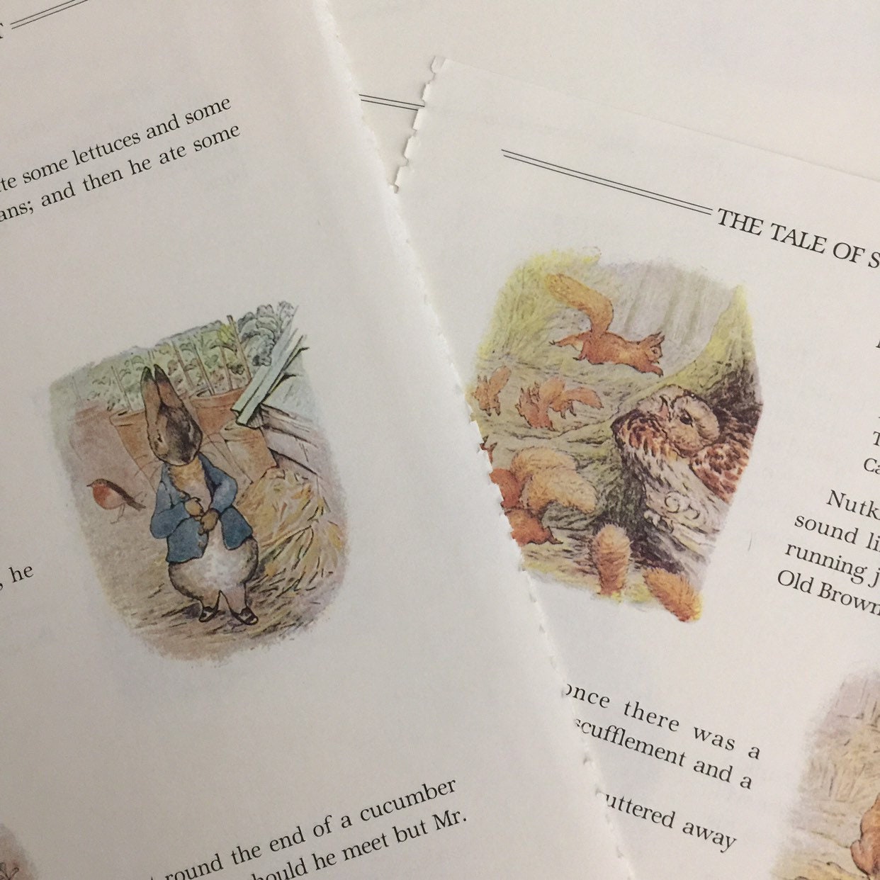 6 vintage Beatrix Potter book pages with illustrations | Etsy