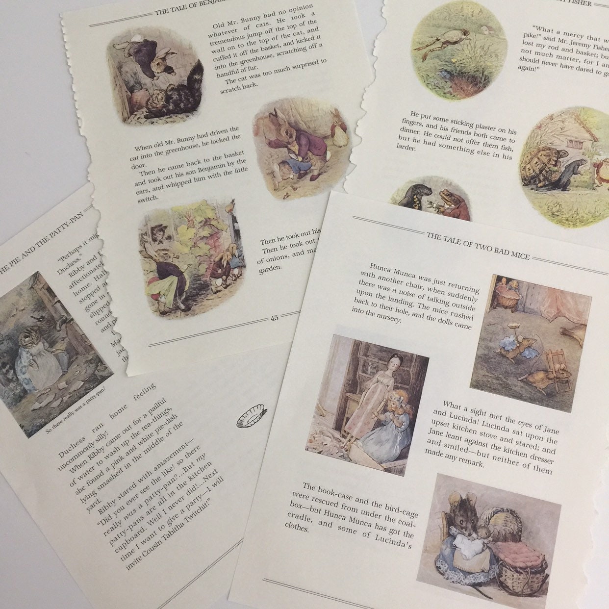 6 vintage Beatrix Potter book pages with illustrations | Etsy