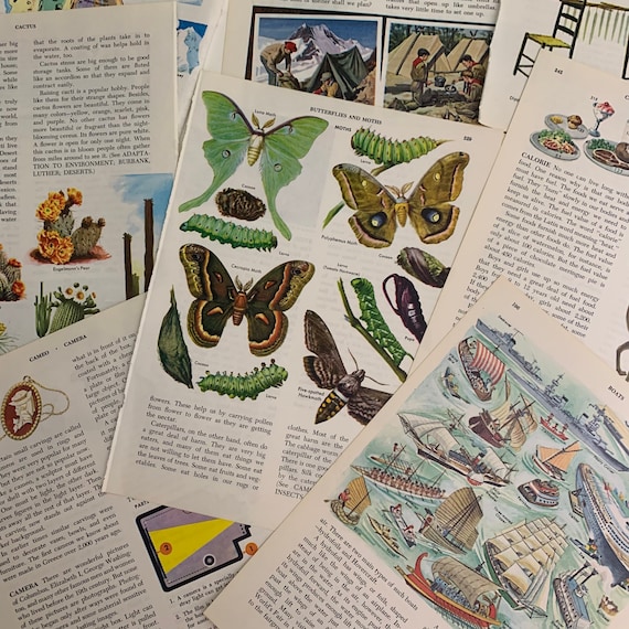 1970 Children's Encyclopedia Book Pages Kitschy Vintage - Etsy