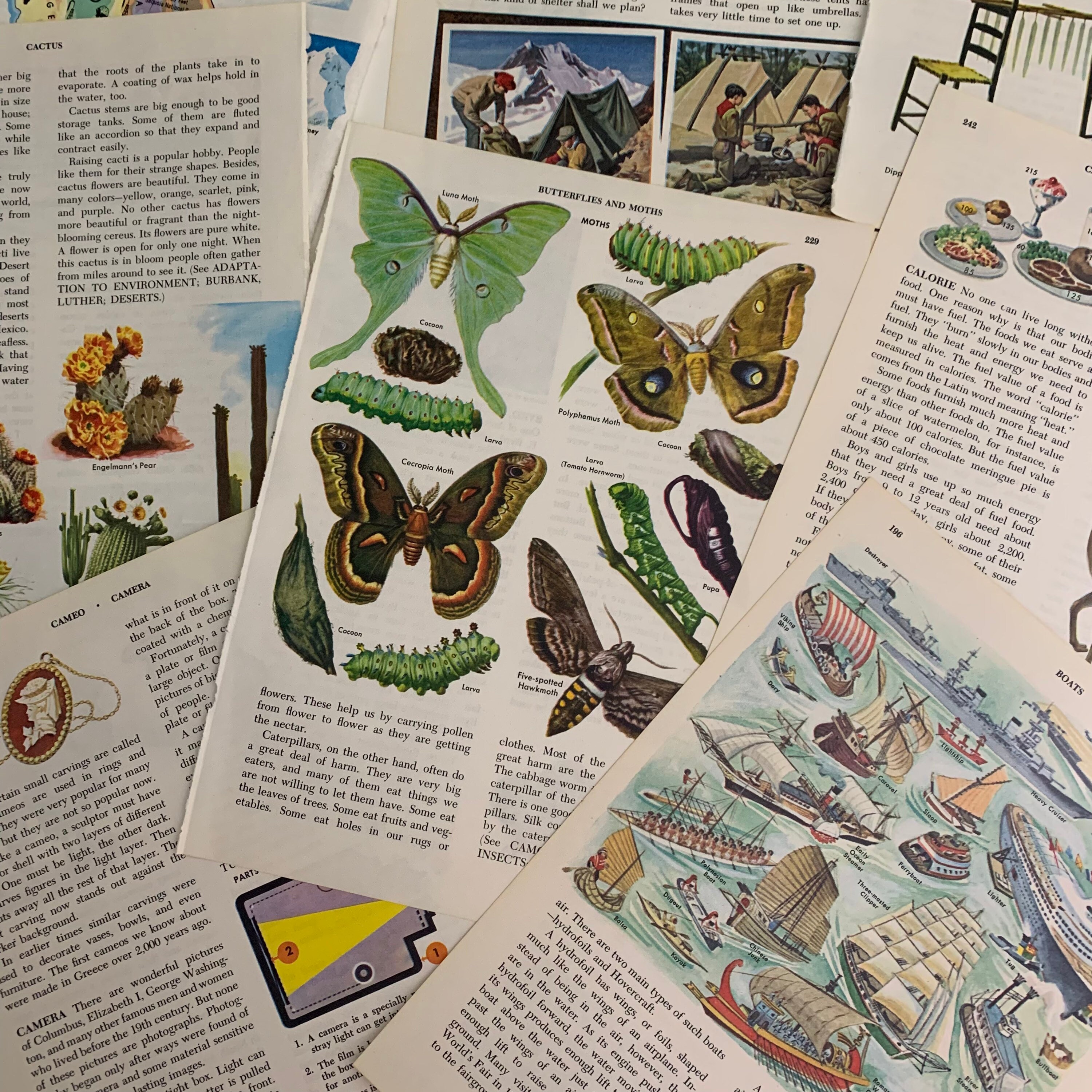 1970 Children's Encyclopedia Book Pages Kitschy Vintage - Etsy