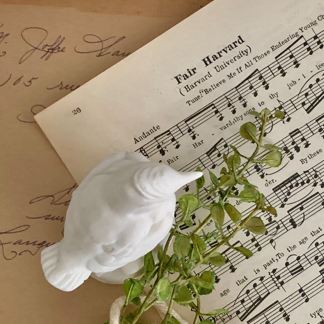 Harvard University Vintage Sheet Music for Fair Harvard for Faculty ...
