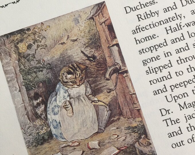 6 Vintage Beatrix Potter Book Pages With Illustrations Perfectly Sized ...