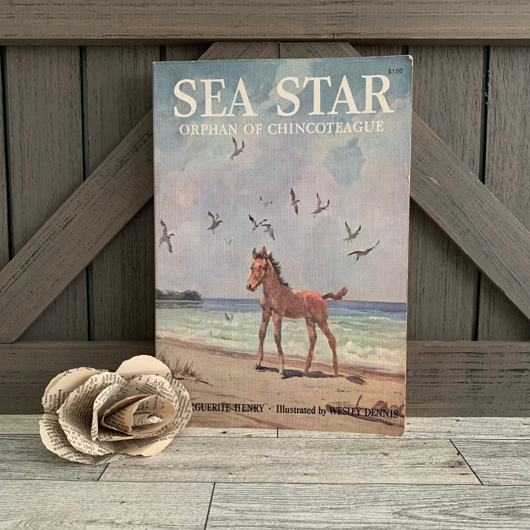Vintage Marguerite Henry Children's Horse Book Sea Star Orphan of ...