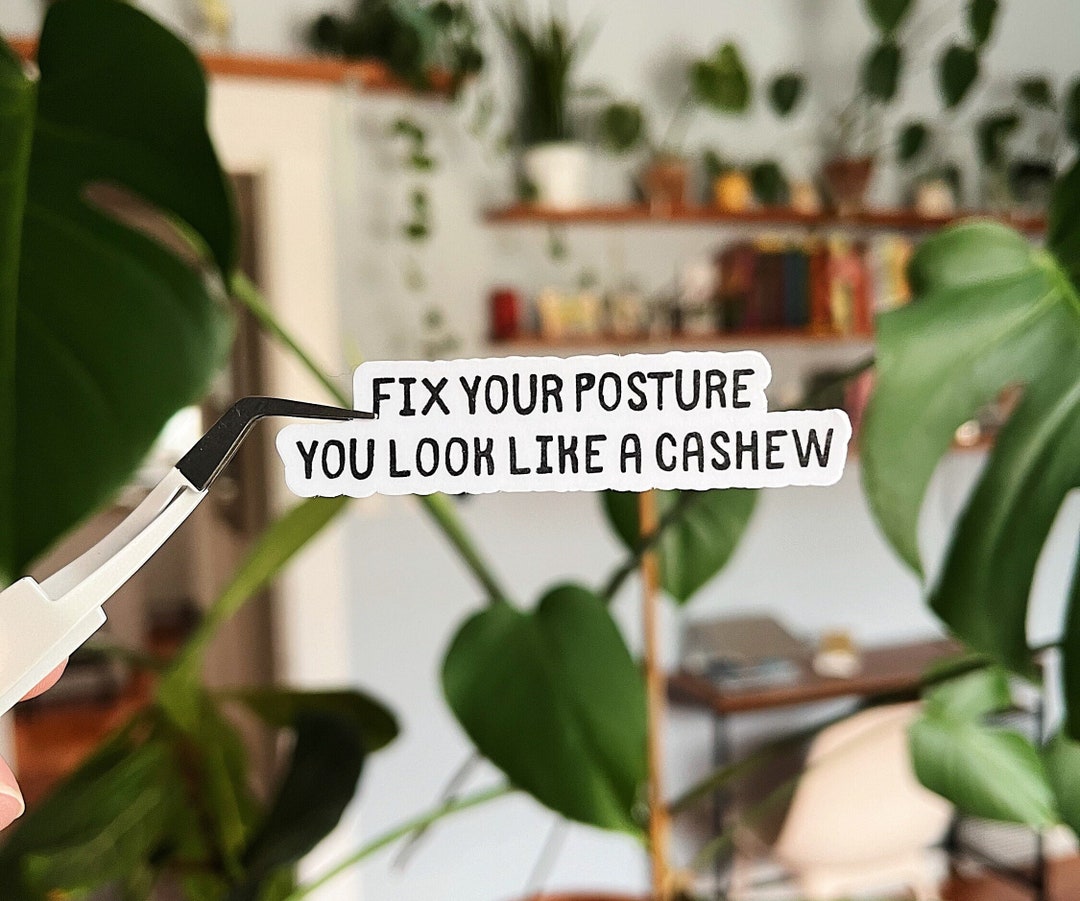 Fix Your Posture Sticker: Funny Waterproof Vinyl Decal - Etsy