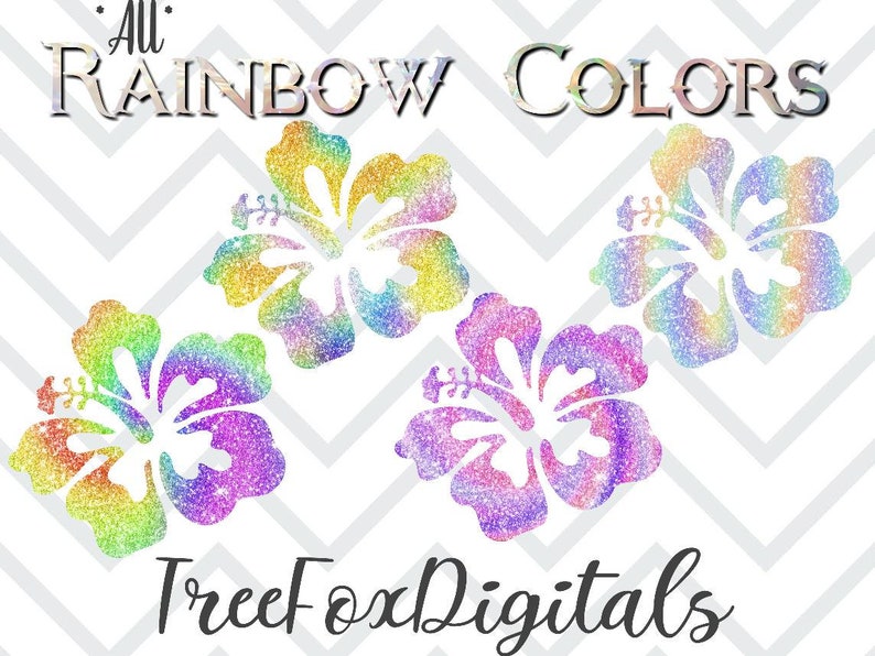 Hibiscus Clipart, Glitter Rainbow Hibiscus Digital Stickers, Hawaiian ...