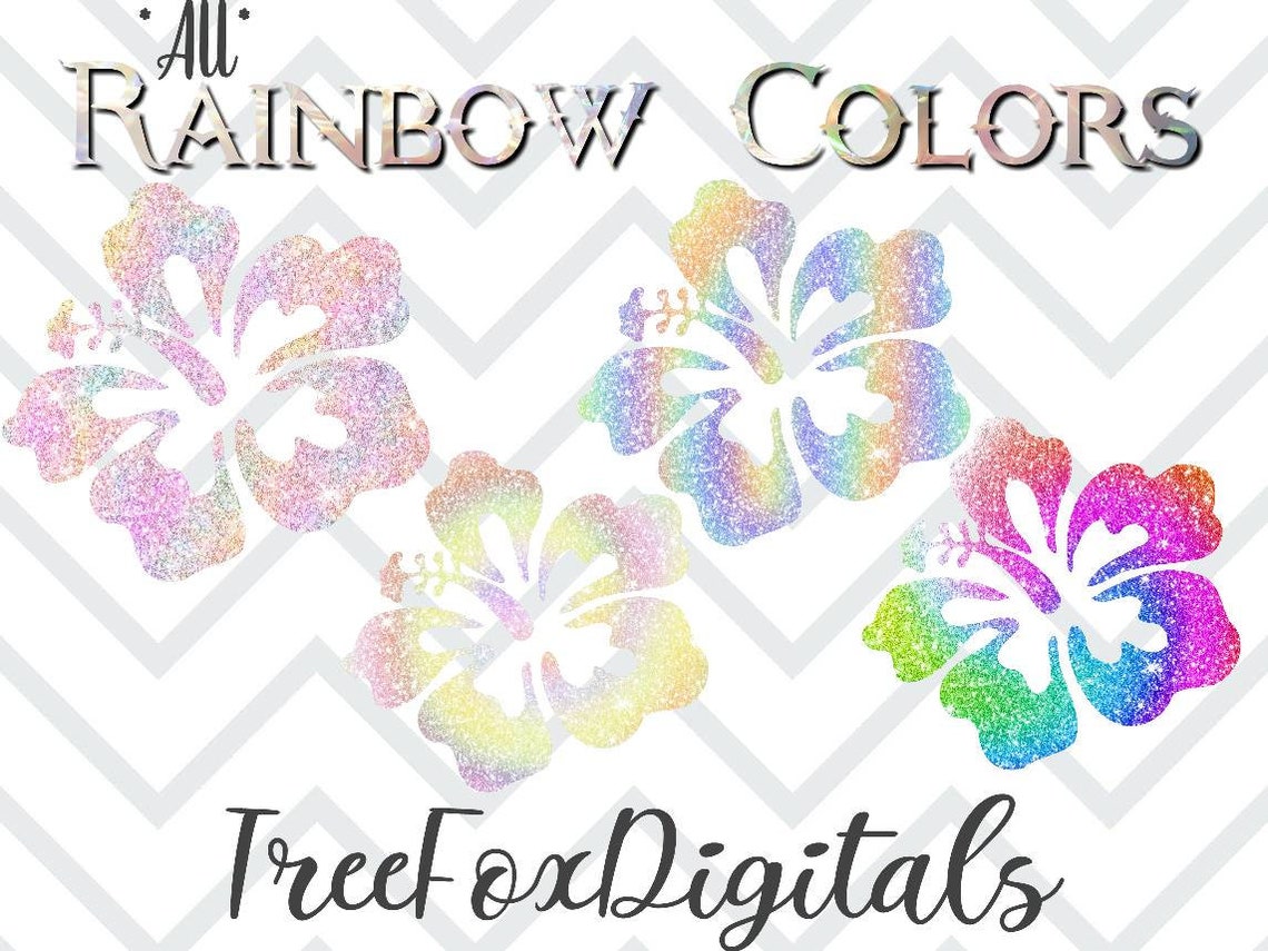 Hibiscus Clipart, Glitter Rainbow Hibiscus Digital Stickers, Hawaiian ...