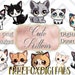 Cute Kittens Digital Stickers Goodnotes, Chibi Kittens Clipart Bundle ...