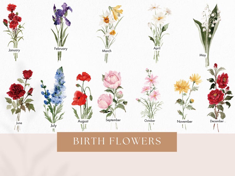 Custom Birth Month Flower Bouquet: Personalized Framed Garden Print - Etsy