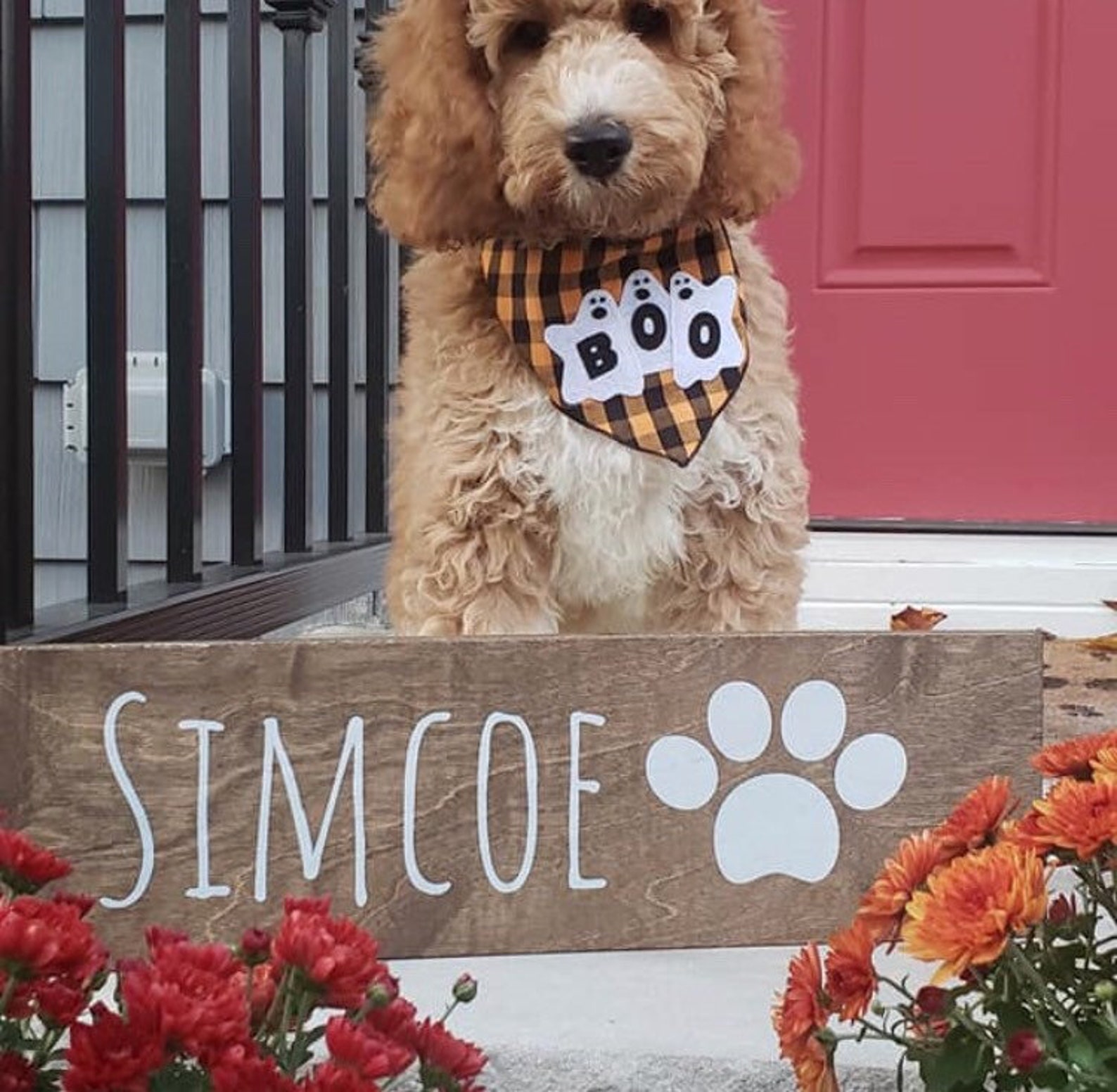 Pet Name Sign Dog Name Sign Custom Pet Sign Animal Gift - Etsy