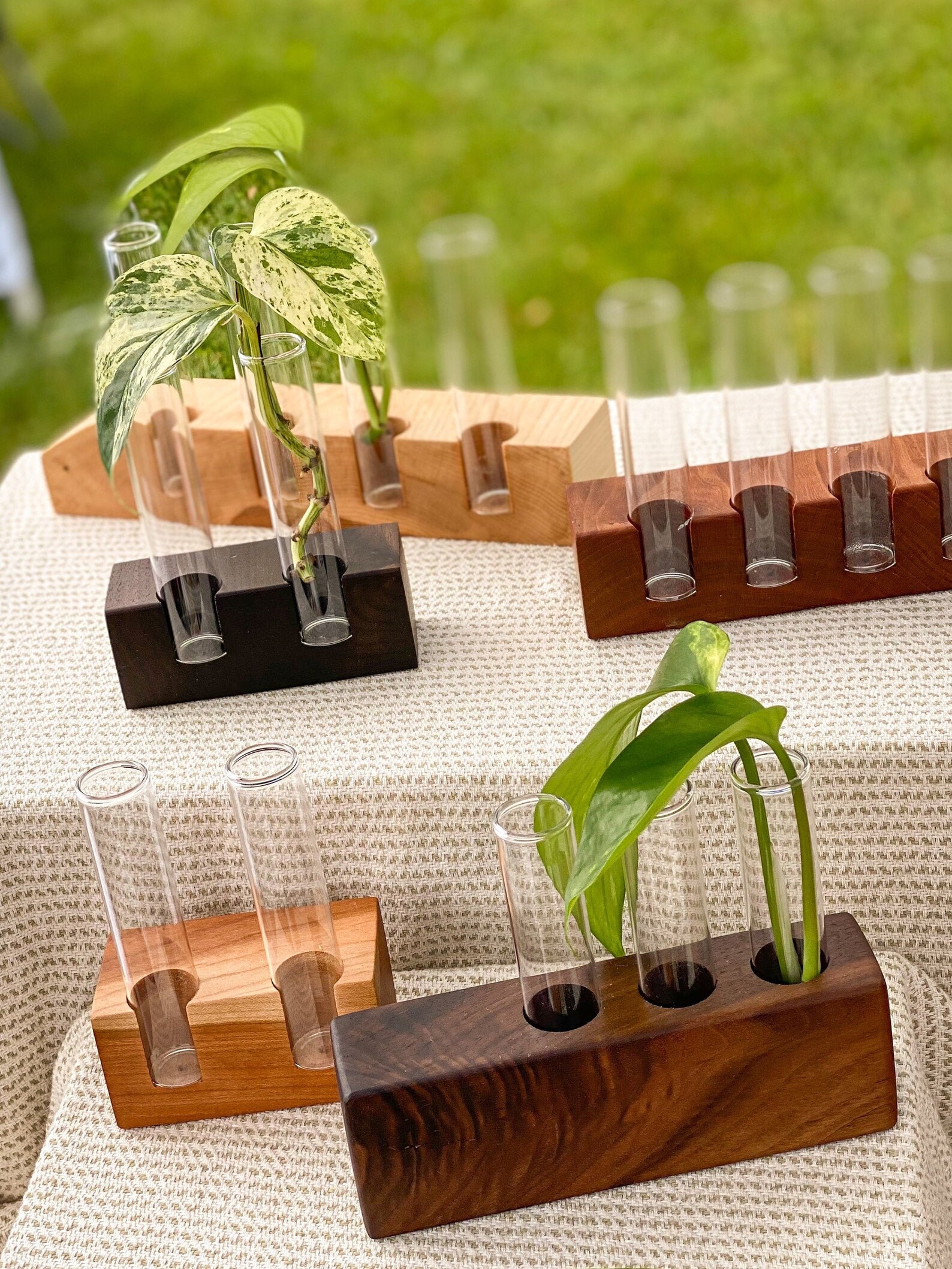 Wood Propagation Station Wood Plant Stand | Etsy