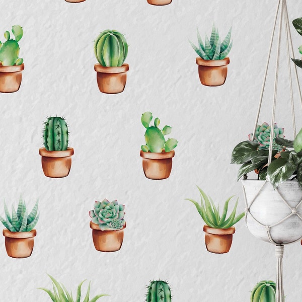 Cactus Wall Decal - Etsy