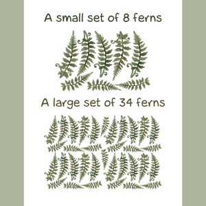 Fern Wall Decals Green Leaf Stickers, KL0016 - Etsy