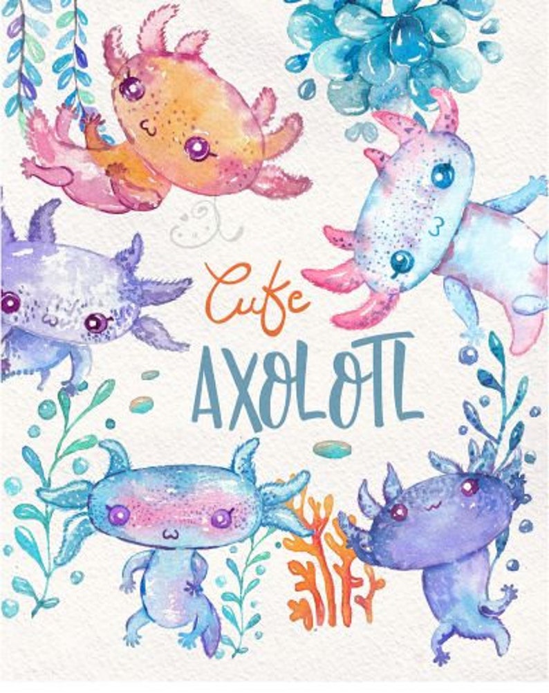 Axolotl PNG Clip Art Watercolor Animal LF282 - Etsy UK