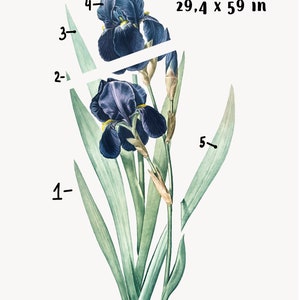 Iris Flower Large Wall Decalfloral Room Sticker Boho Natural - Etsy