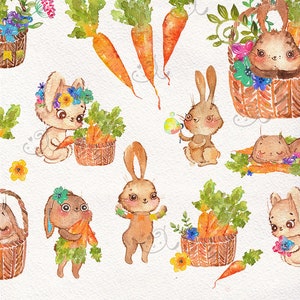 Bunny Animal Watercolor Clipart Carrot Flowers PNG LF370 - Etsy