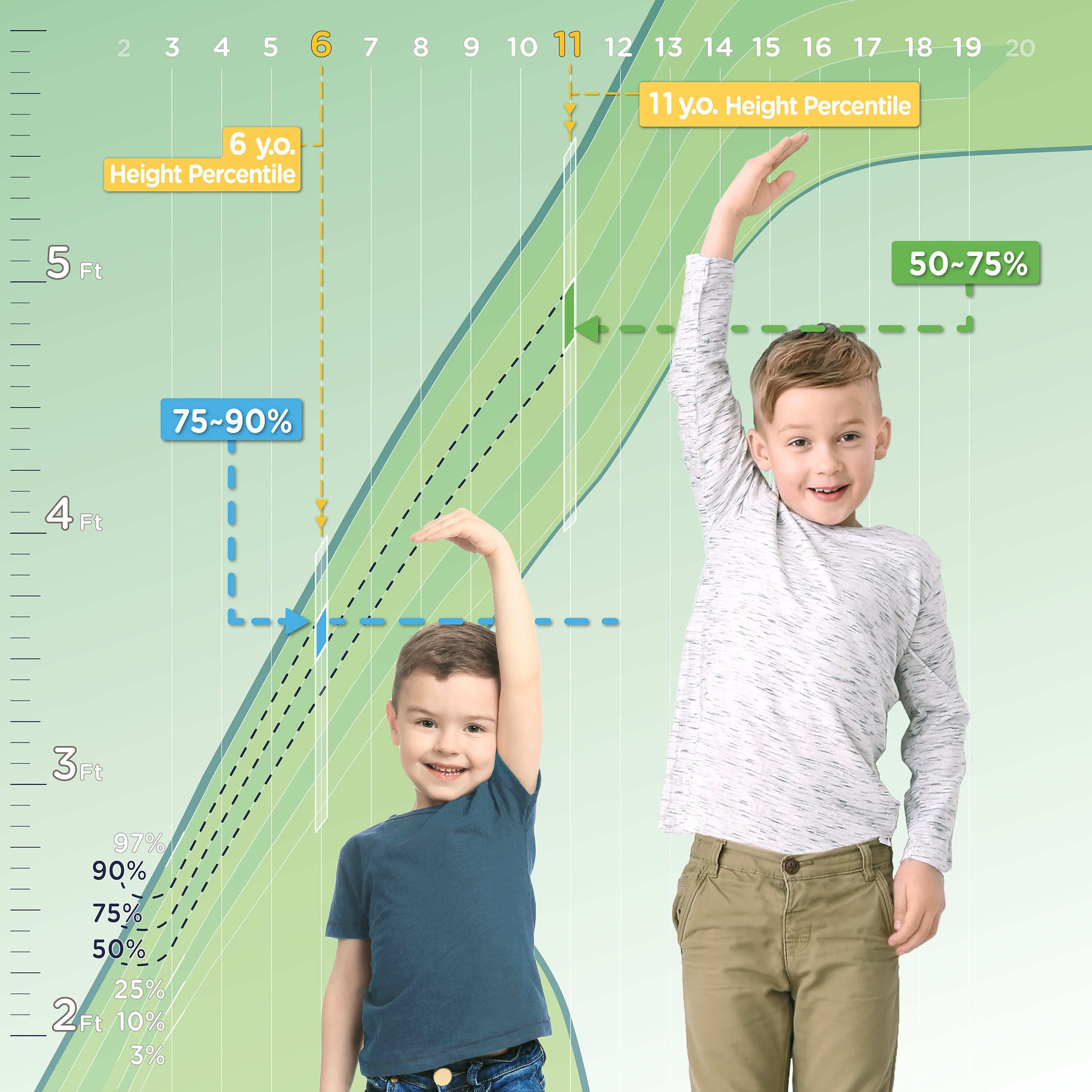 Watch Me Grow 1:1 Scale Percentile Growth Chart for Kids | Etsy