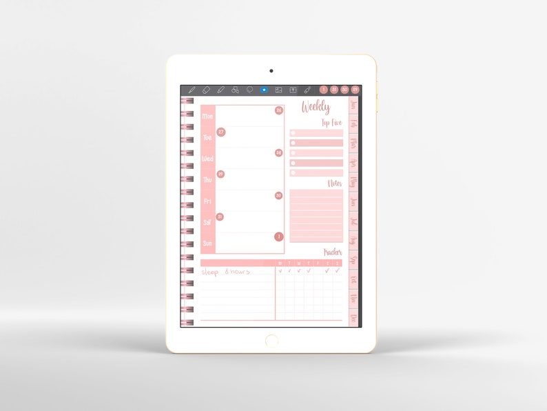 Undated Digital Planner , Cute Goodnotes Planner, Pink Life Planner ...